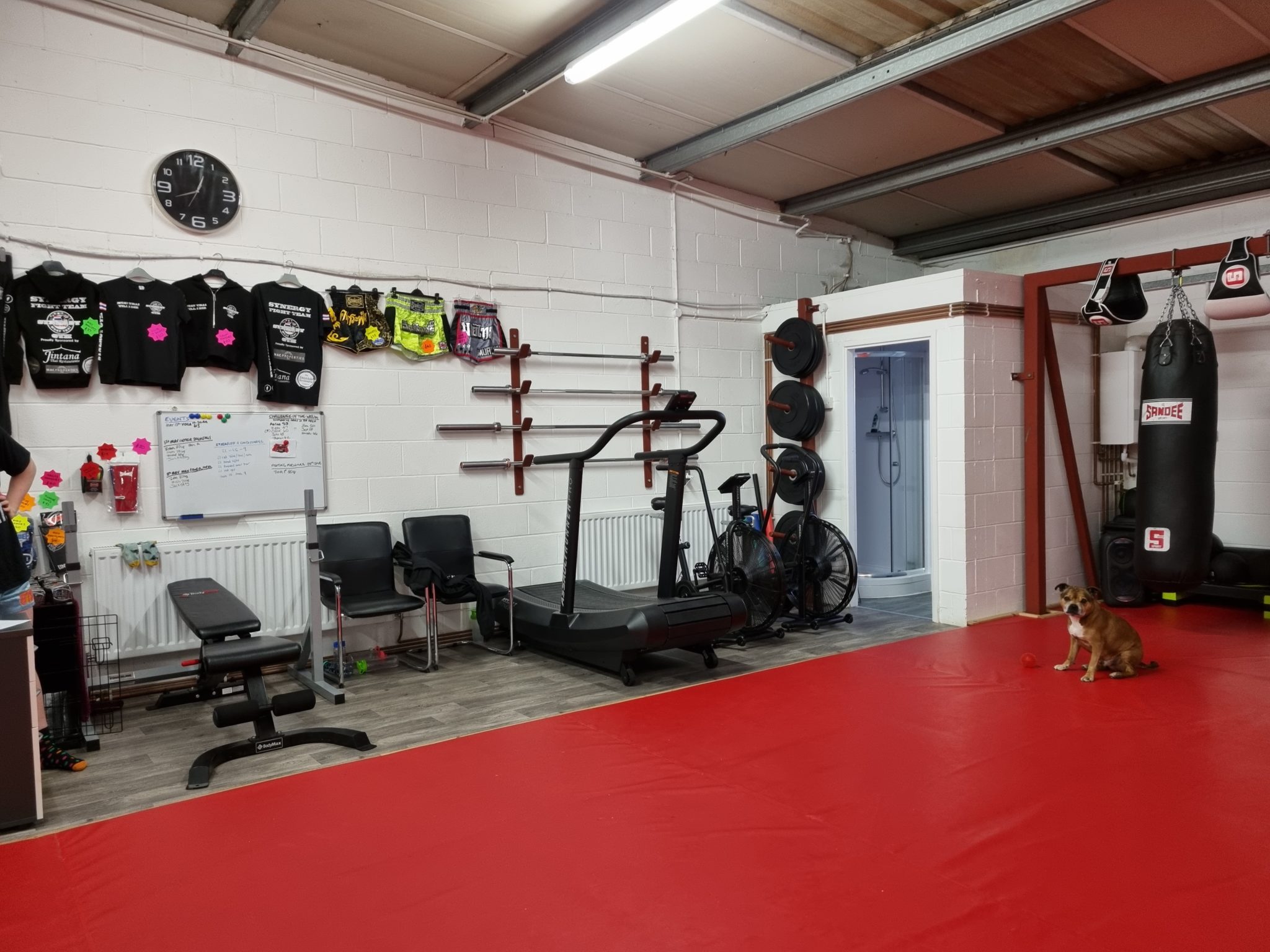Services | Synergy Gym Muay Thai